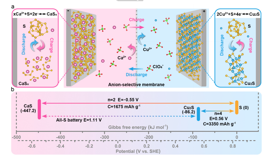 牛志强教授Angew：高能水系全硫电池