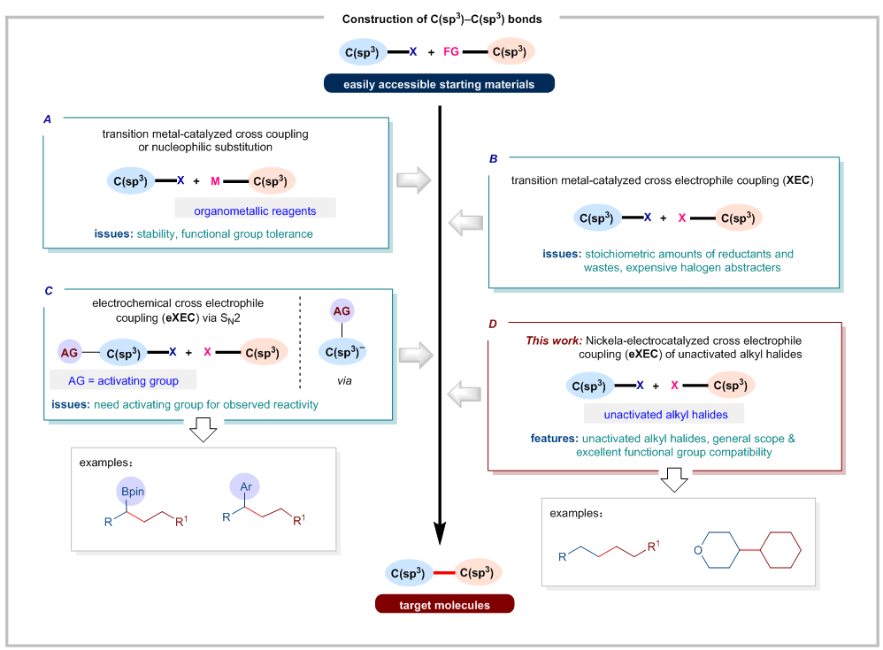 仇友爱研究员Nature Catalysis：实现电化学镍催化烷基卤化物还原交叉偶联构筑C(sp³)−C(sp³)键
