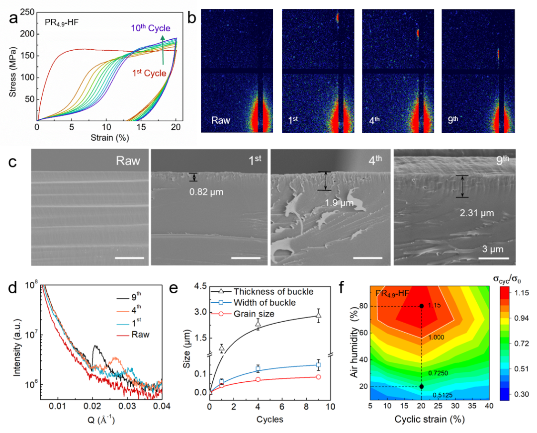刘遵峰教授合作研究成果Adv. Mater.：高强、高韧人造蜘蛛丝
