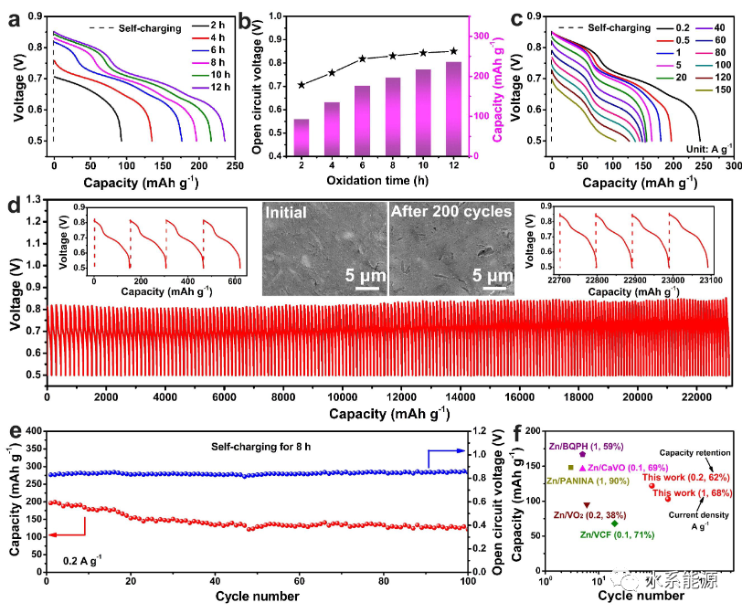 牛志强团队Angew:质子化学诱导长循环空气自充电水系电池