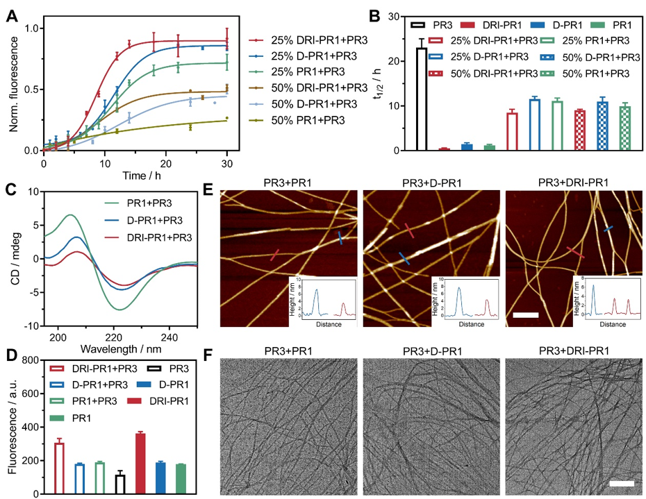 余志林研究员Angew：细胞程序性坏死选择性激活仿生肽：纳米尺度手性药物的实例