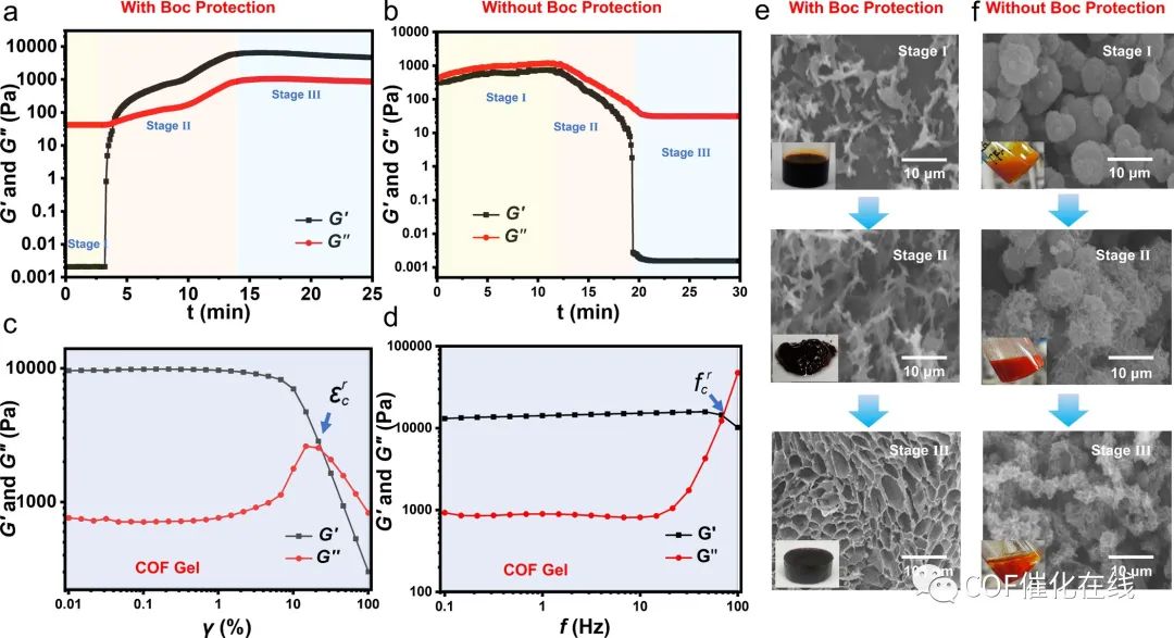 张振杰研究员JACS：COFs凝胶
