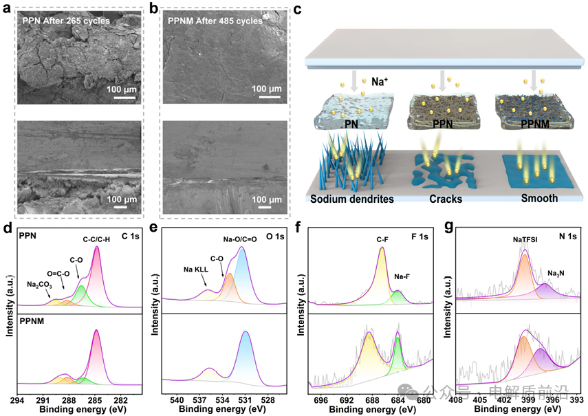 焦丽芳教授Angew：SPE的竞争配位和双相间调节实现高性能钠电池！