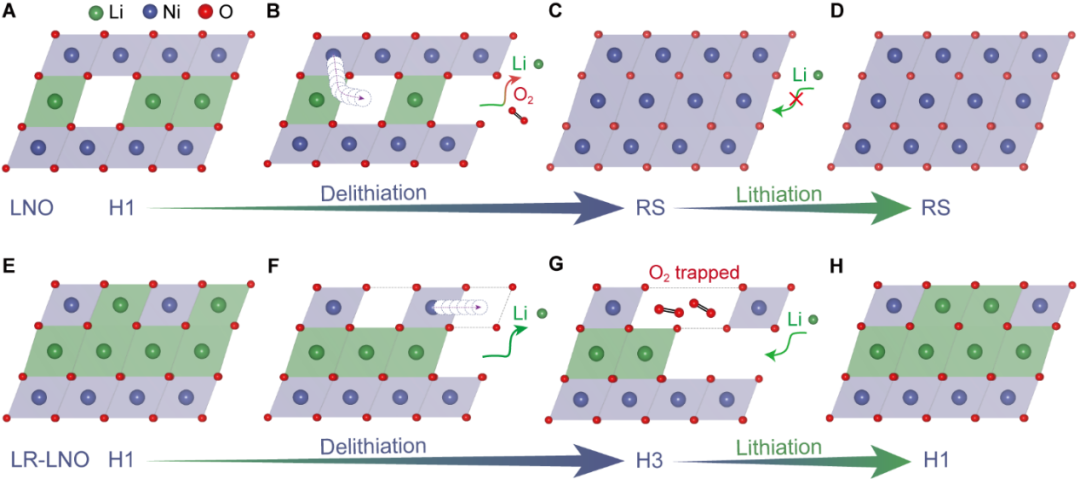 Chem访谈：四两拨千斤-南开/上交大团队通过微富锂策略复兴镍酸锂正极材料