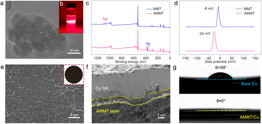 张凯研究员AEM：界面离子整流泵助力无枝晶锂金属负极