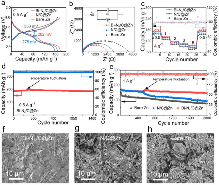 王欢课题组ACS Energy Letters：单原子位点激活锌成核