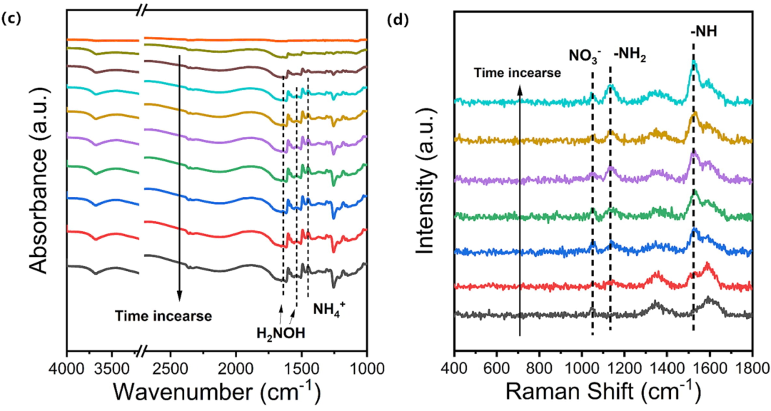 李伟教授CEJ：电化学原位FTIR光谱、原位拉曼光谱和DFT计算证明NO3-还原反应遵循一种新型多重反应路径