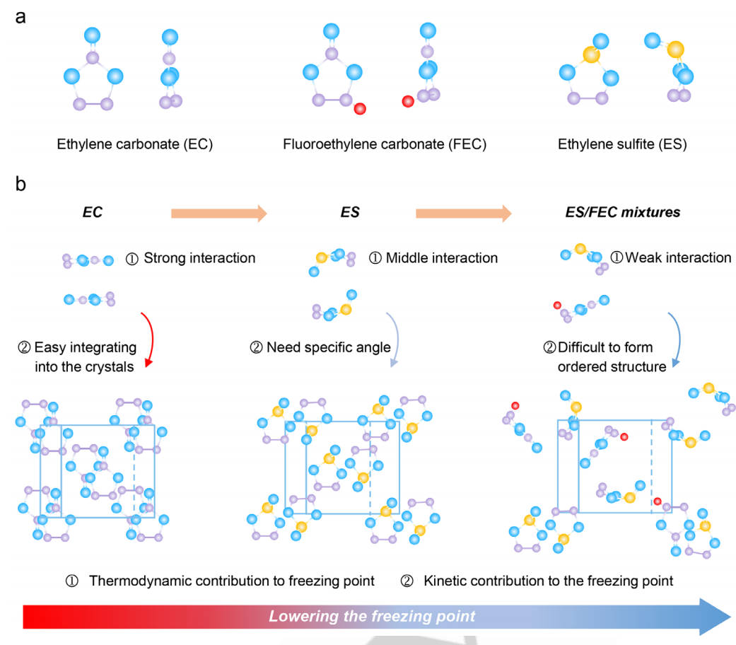 陈军院士Angew.：全气候锂金属电池进展！